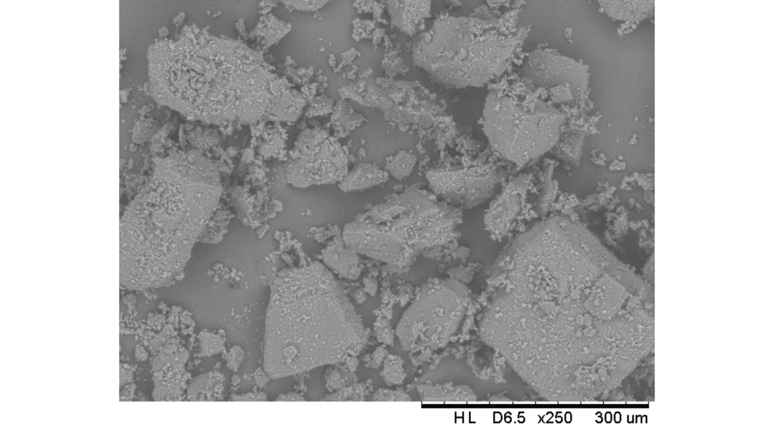 Pharmaceutical lactose, in what form and for what use? - Lactalis ...